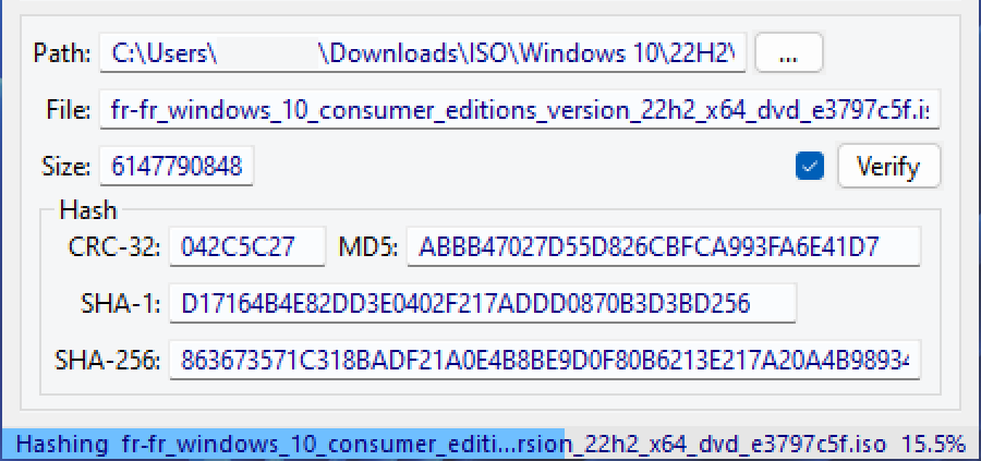 SVF eXtractor - Hashing ISO